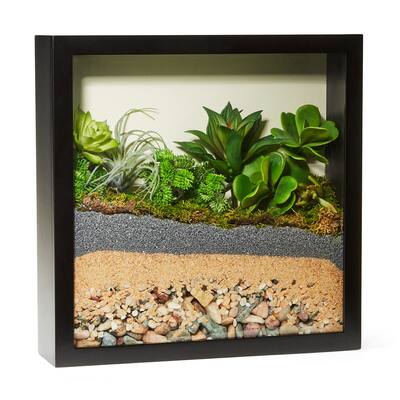 Layered Succulent Shadow Box | Projects | Michaels
