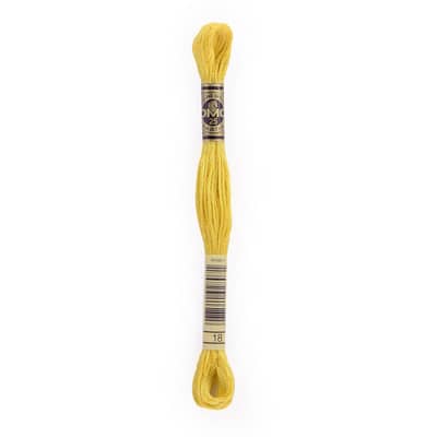 DMC® 6 Strand Embroidery Floss, Yellow, Color: 18 Yellow Plum | Michaels