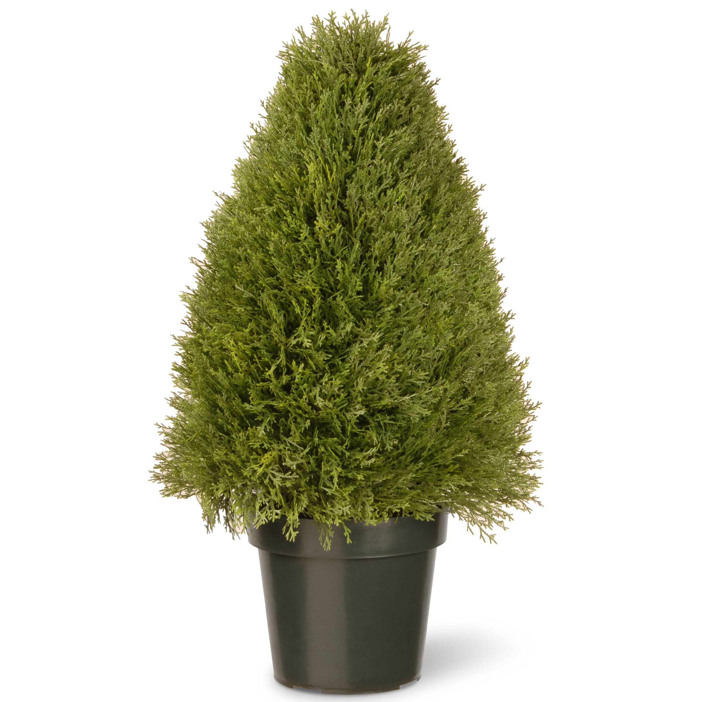 Upright Juniper Tree with Green Pot | Michaels