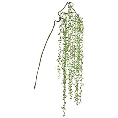 Soft Touch Green Senecio Hanging Spray | Michaels