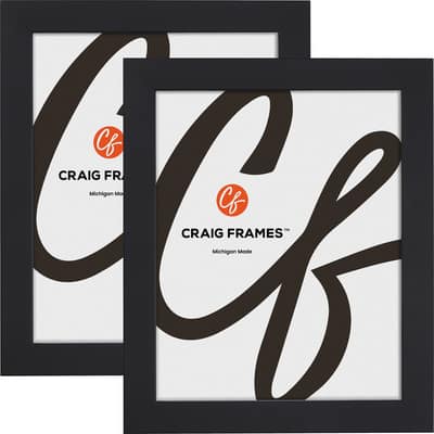 2 Pack Craig Frames Essentials Modern Black Picture Frame | Michaels