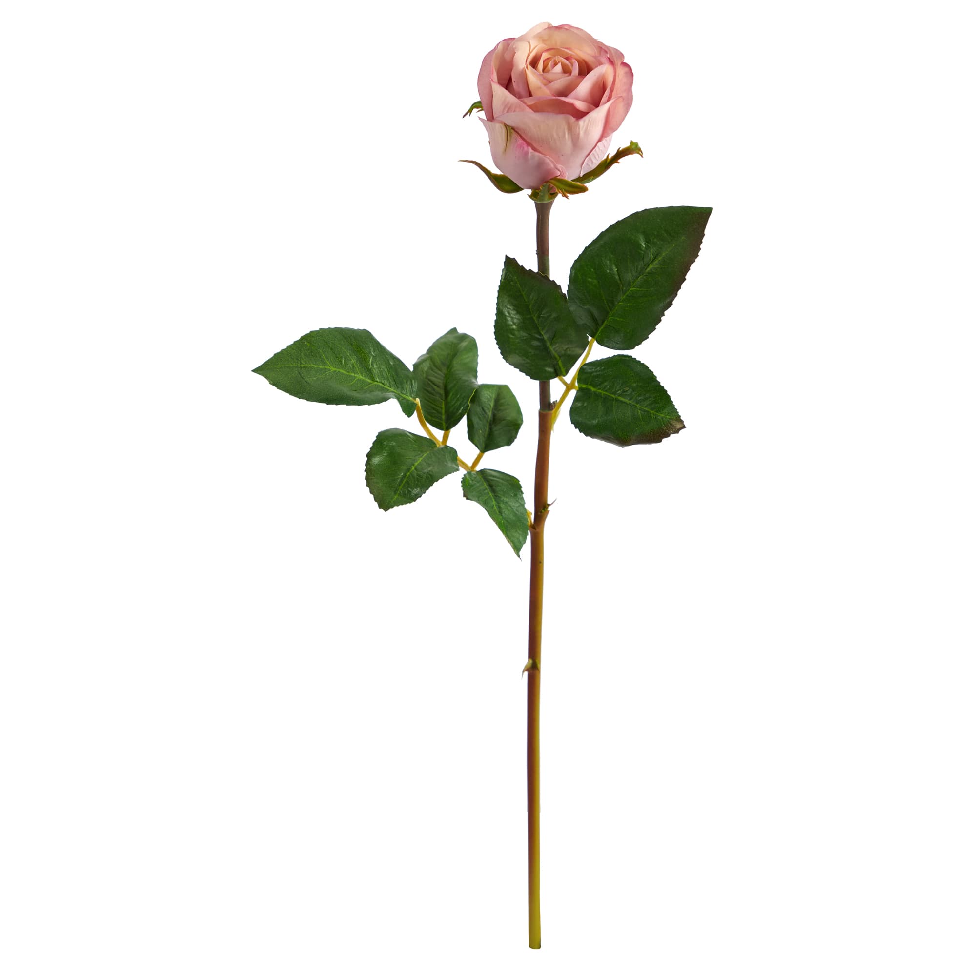 Light Mauve Rose Bud Stem, 6ct. | Michaels
