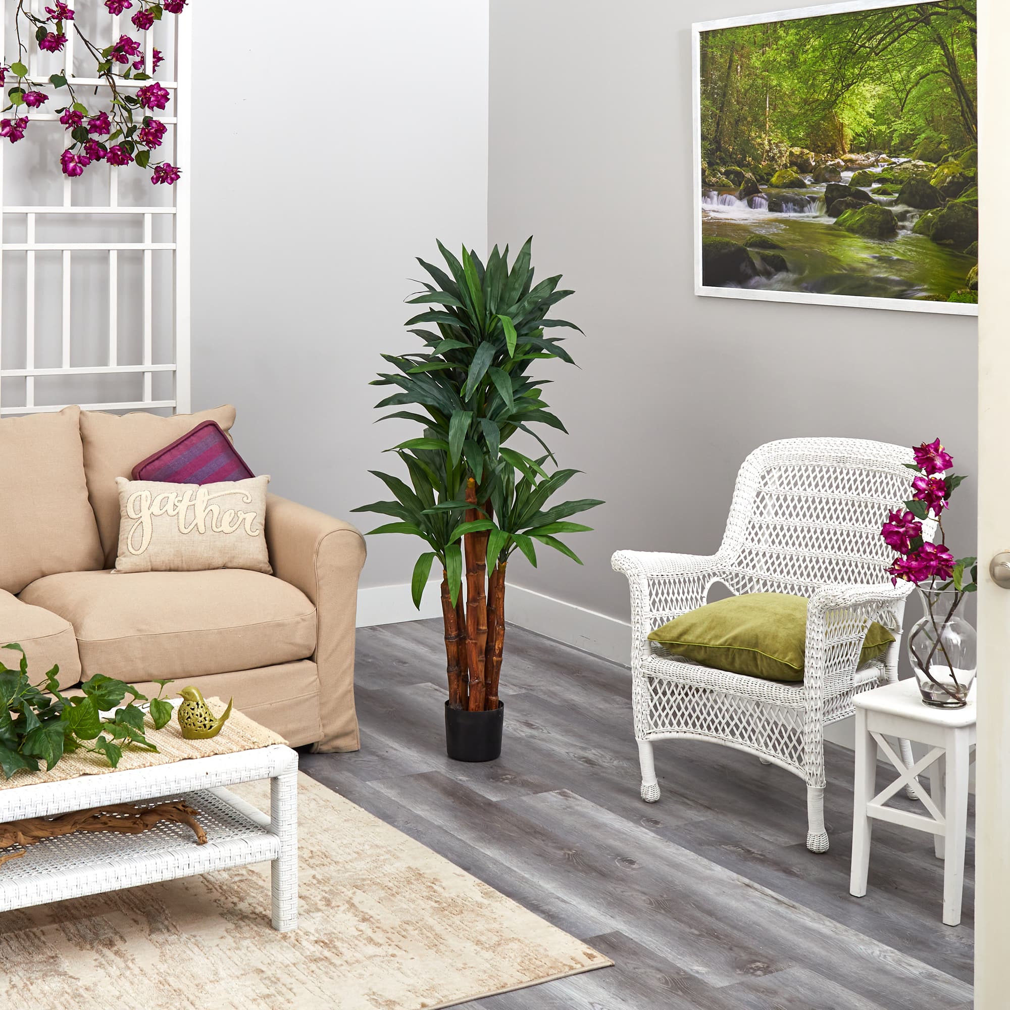 4.5ft. Potted Dragon Tree with Natural Trunk | Michaels