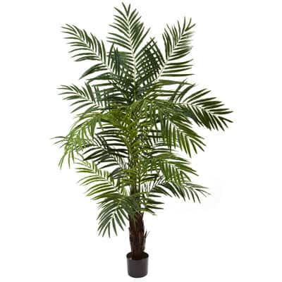 6ft. Potted Green Areca Palm Tree | Michaels