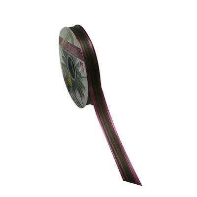 Reliant 3/4" x 110yd. Aspid Ombre Rd Plastic Ribbon | Michaels