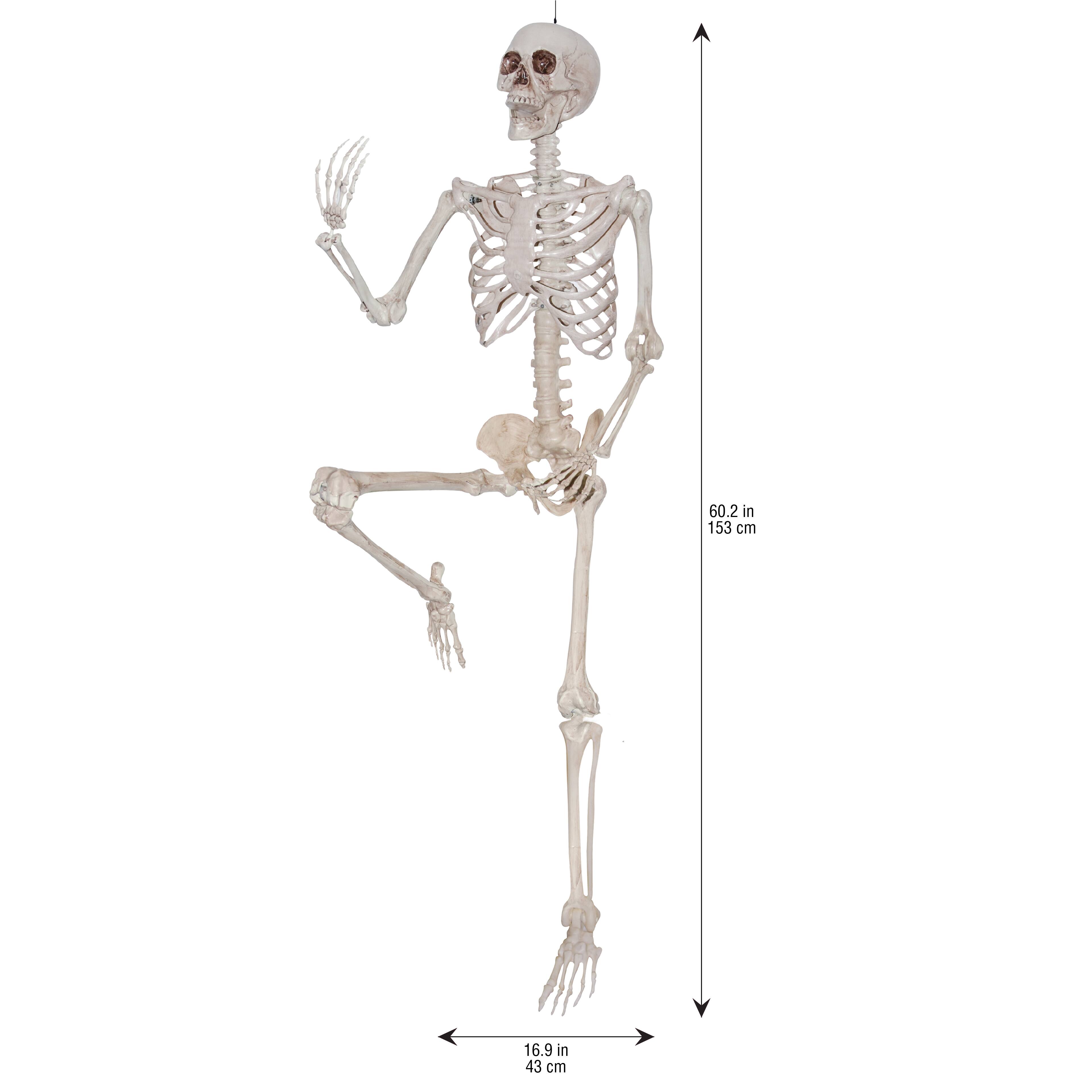 5ft. Posable Skeleton with LED Eyes by Ashland® | Michaels