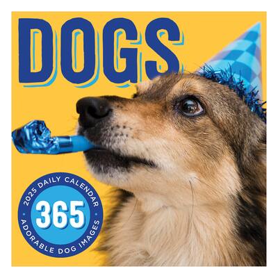 TF Publishing 2025 Dog A Day Daily Desktop Calendar | Michaels