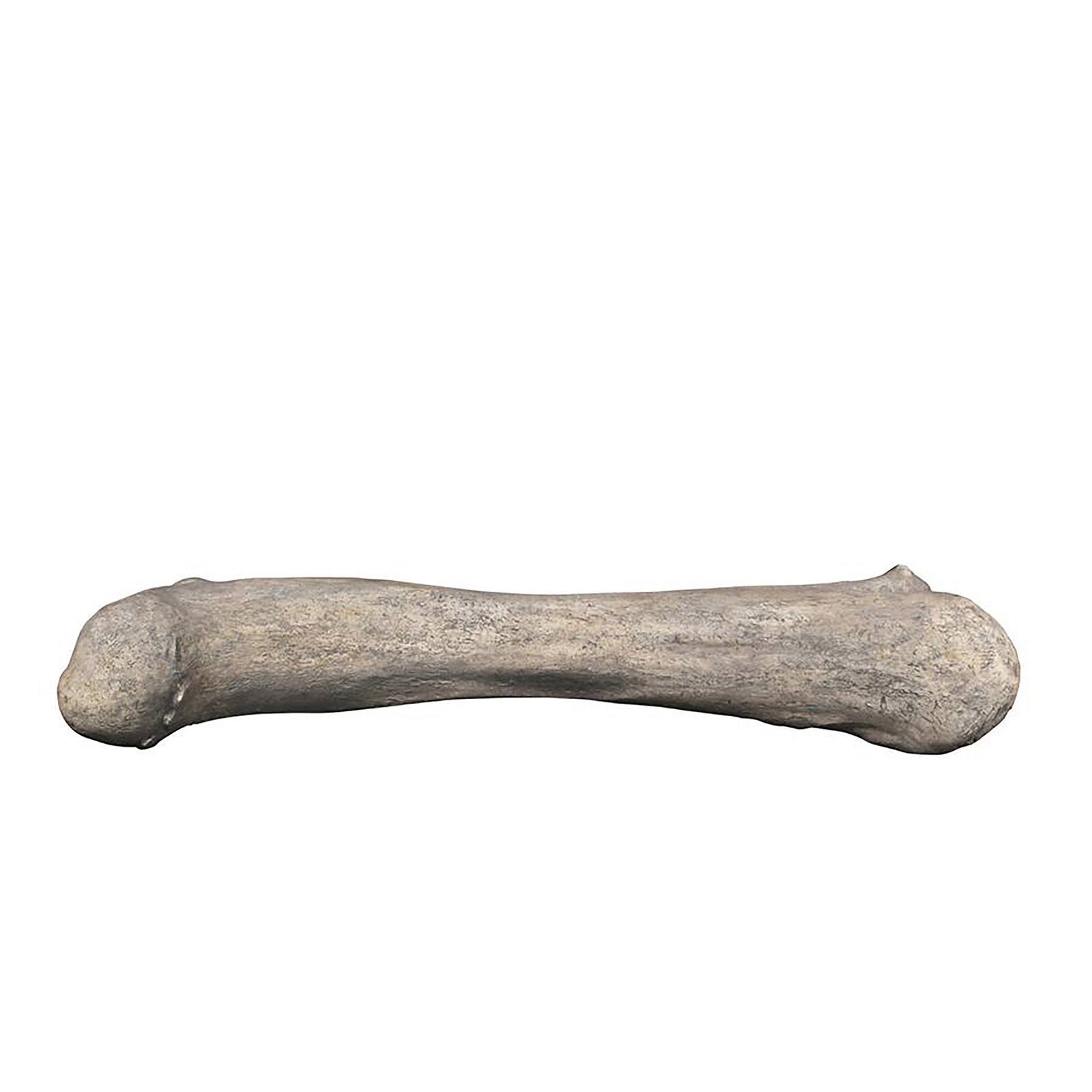 Design Toscano Apatosaurus Femur Bone Fossil Statue | Michaels
