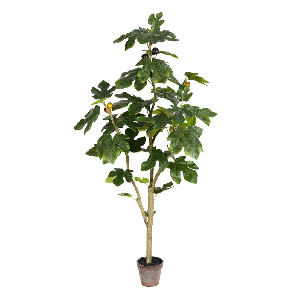 4ft. Potted Fig Tree | Michaels