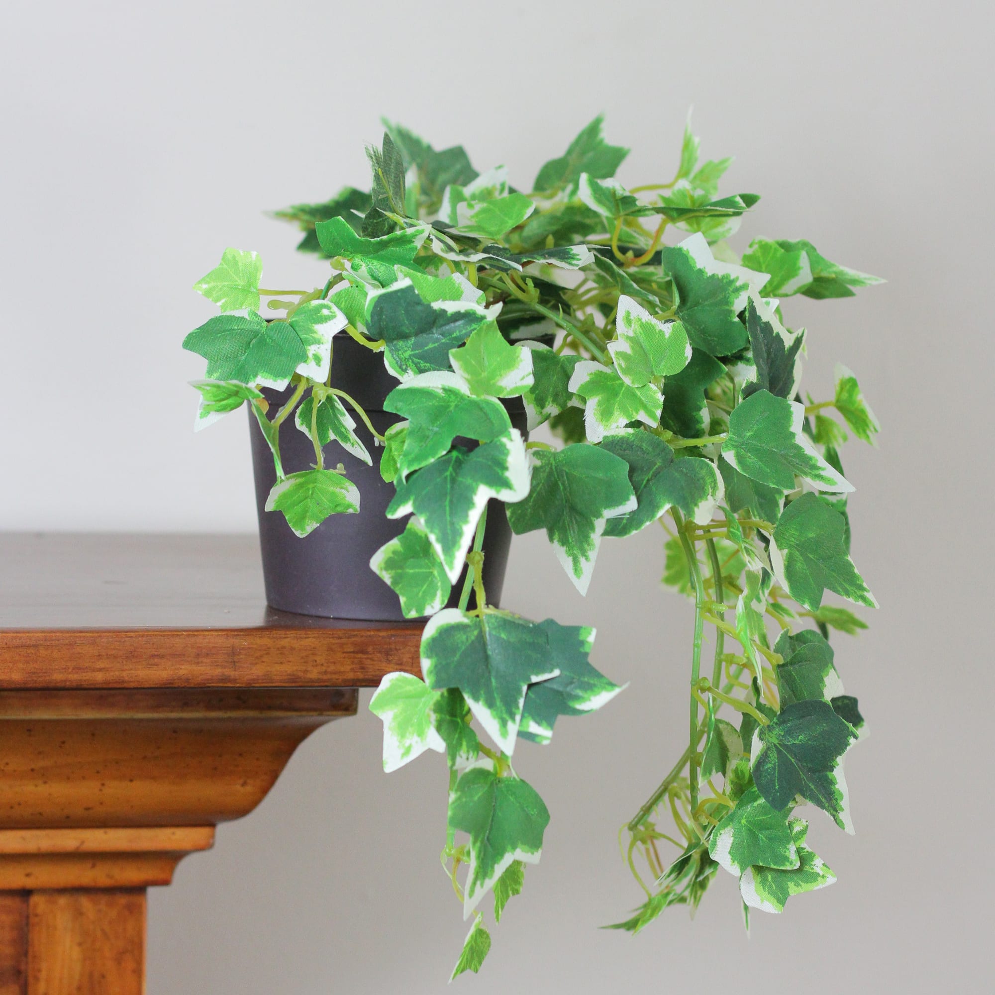 8" Spring Potted Mini Ivy Bush | Michaels