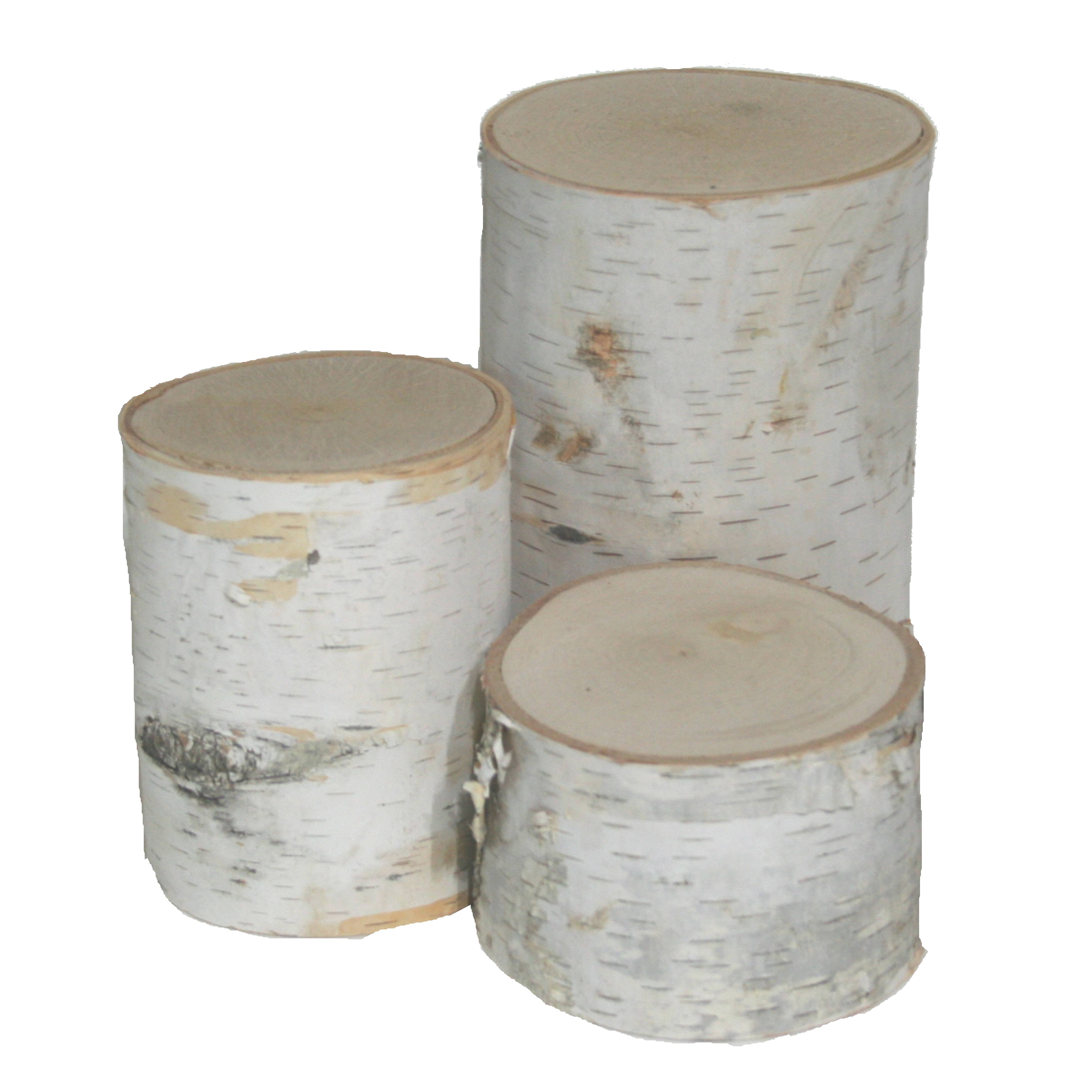 Wilson® Enterprises Birch Pillar Set, 4ct., Size: 5" | Michaels