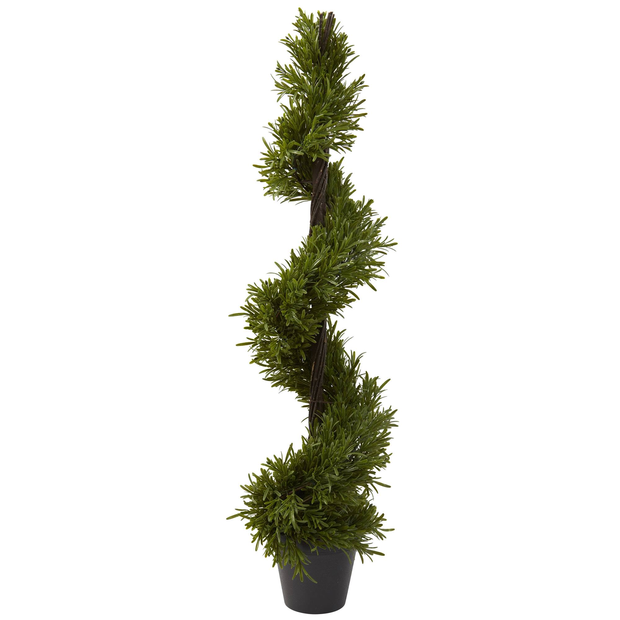 3.5ft. Potted Rosemary Spiral Tree | Michaels