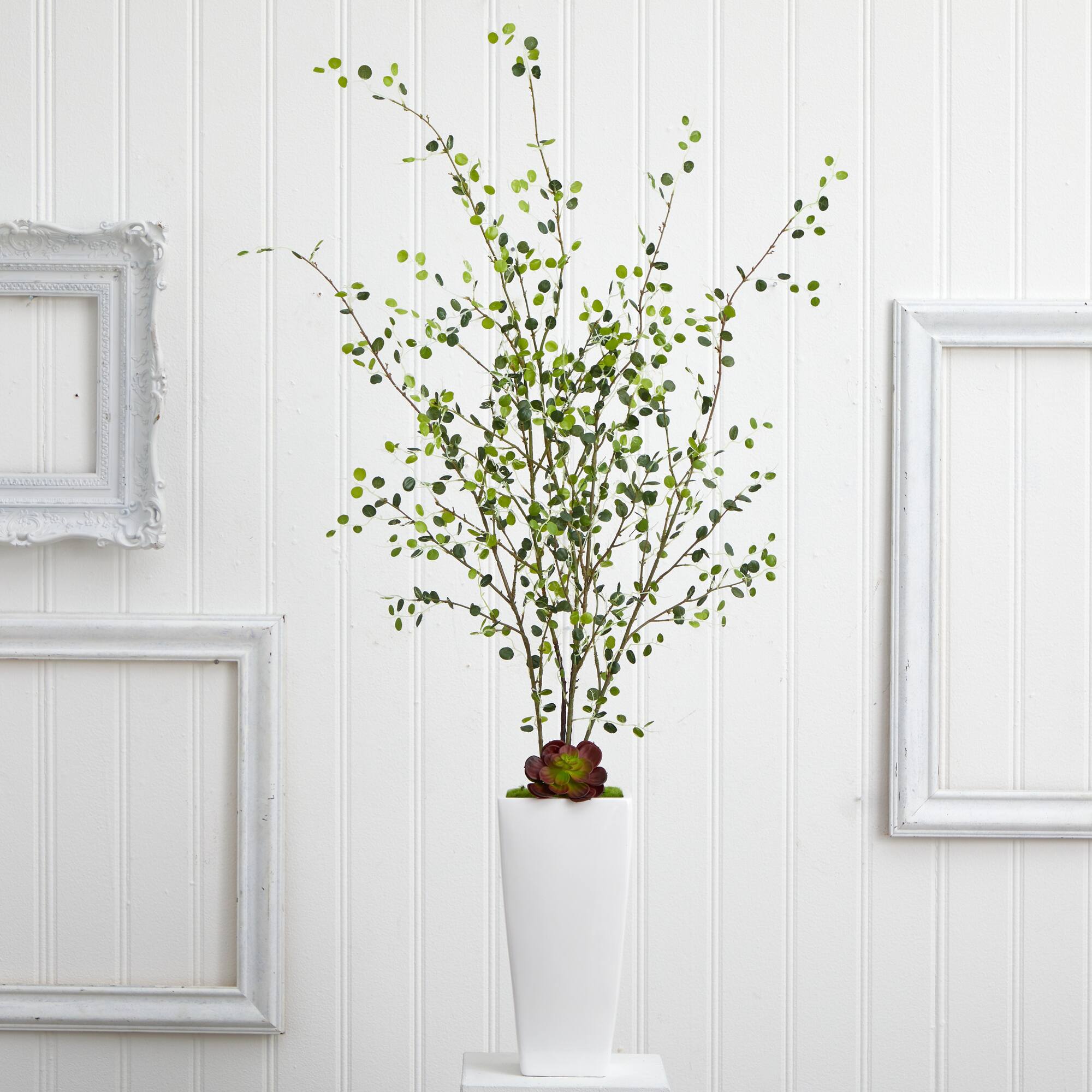 4ft. Night Willow in White Planter | Michaels