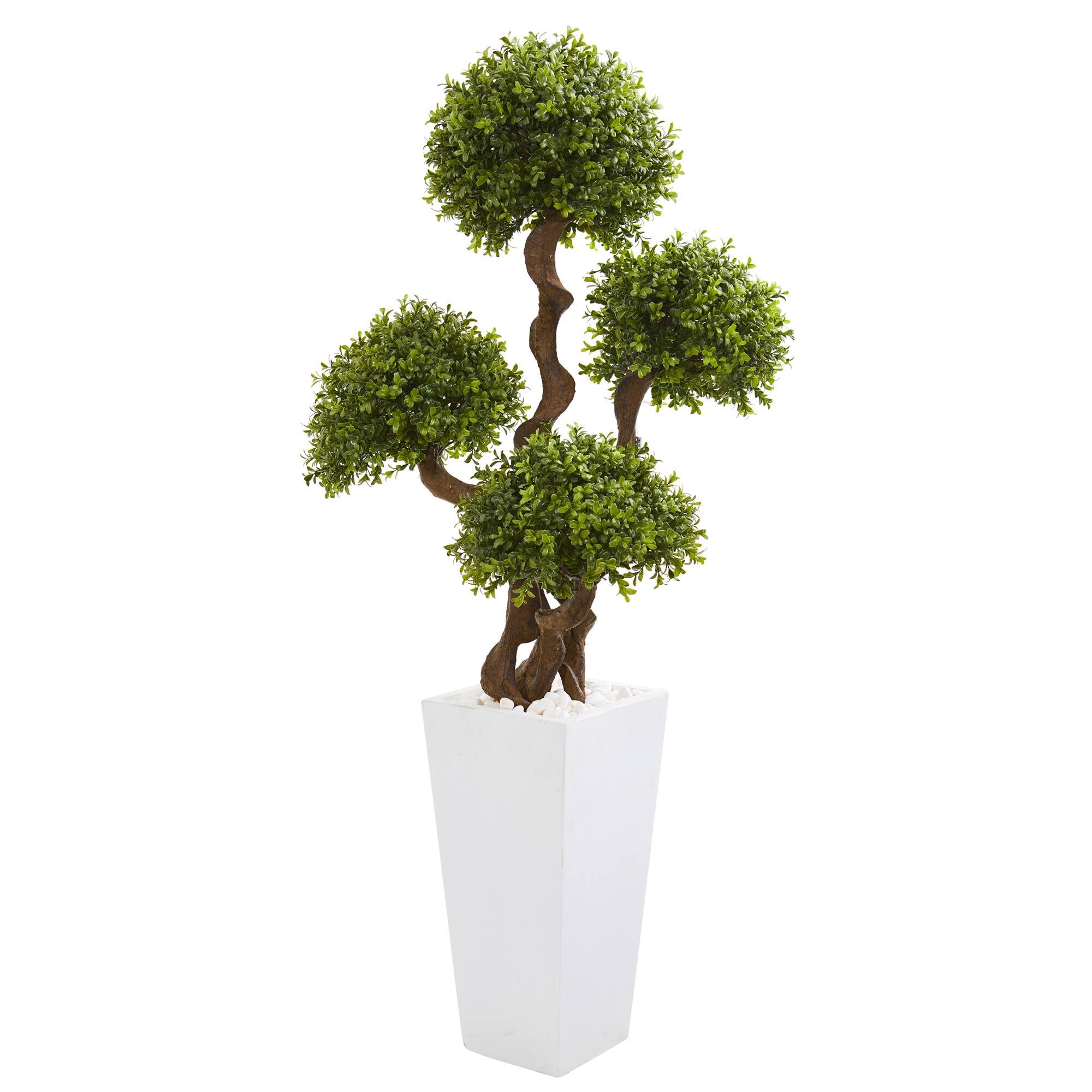4.5ft. Four Ball Boxwood Topiary Tree in Tall White Planter | Trees ...