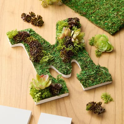 Mossy Letter | Projects | Michaels