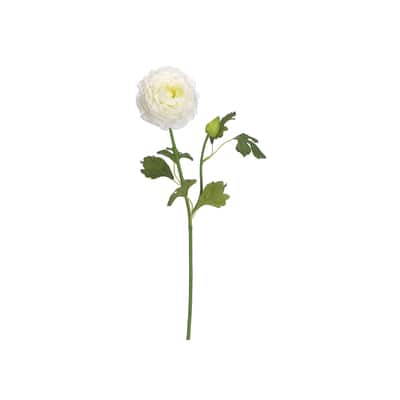 Buy in Bulk - 24 Pack: White Ranunculus Stem | Michaels