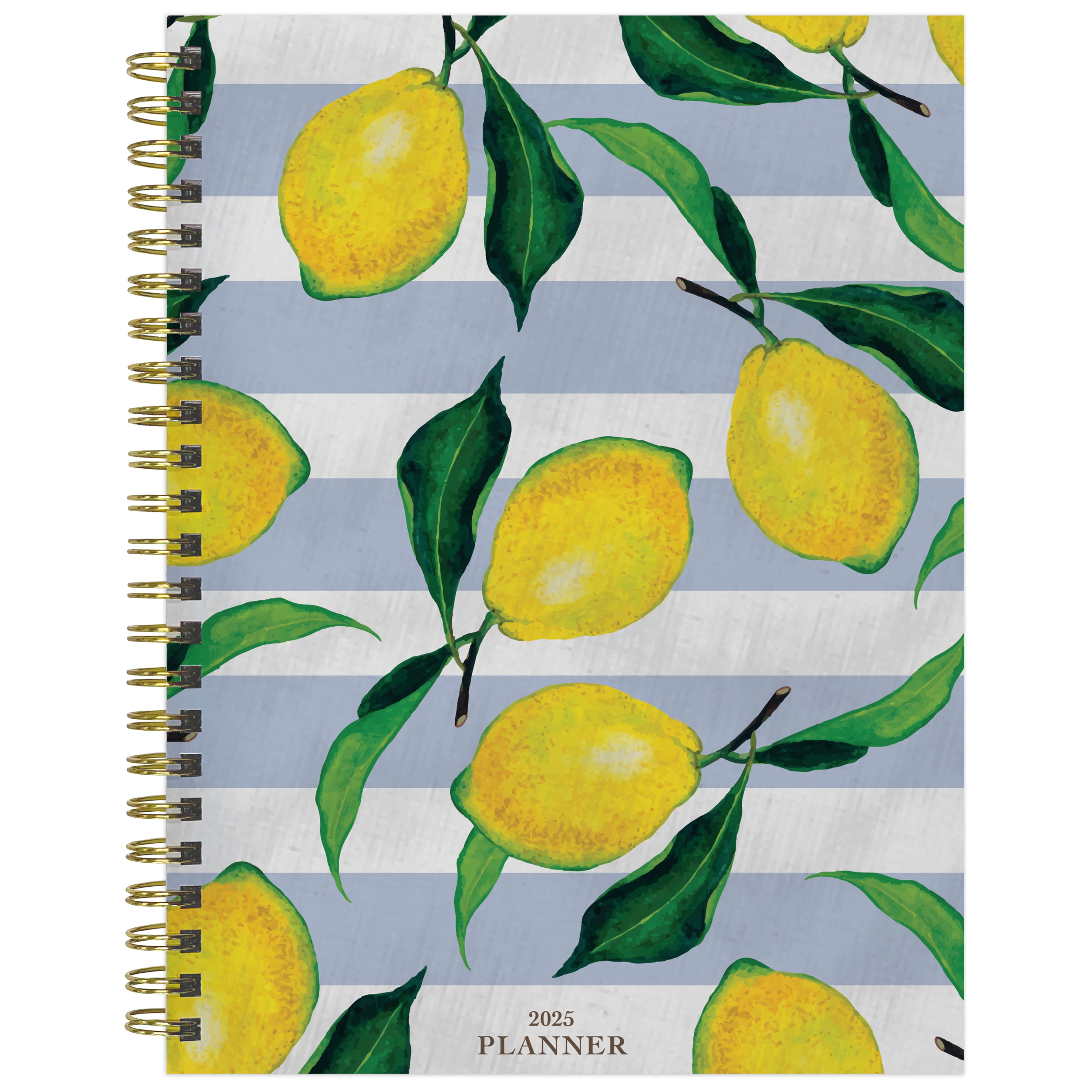 TF Publishing 2025 Medium Lemons of Capri Weekly Monthly Spiral Planner ...