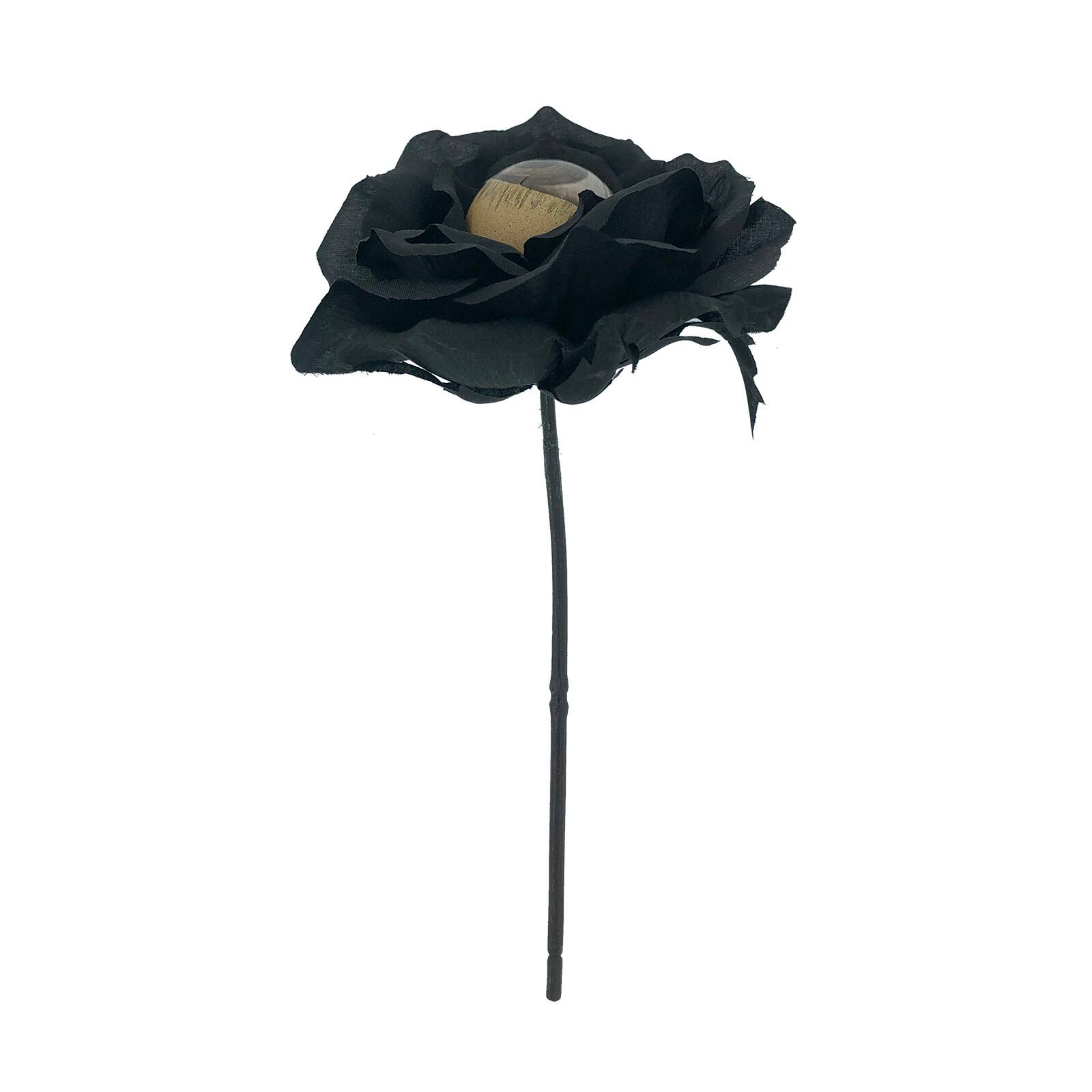 Black Rose with Eyeball Pick by Ashland® | Michaels