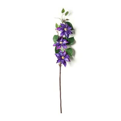Purple Tropical Clematis Stem by Ashland® | Michaels
