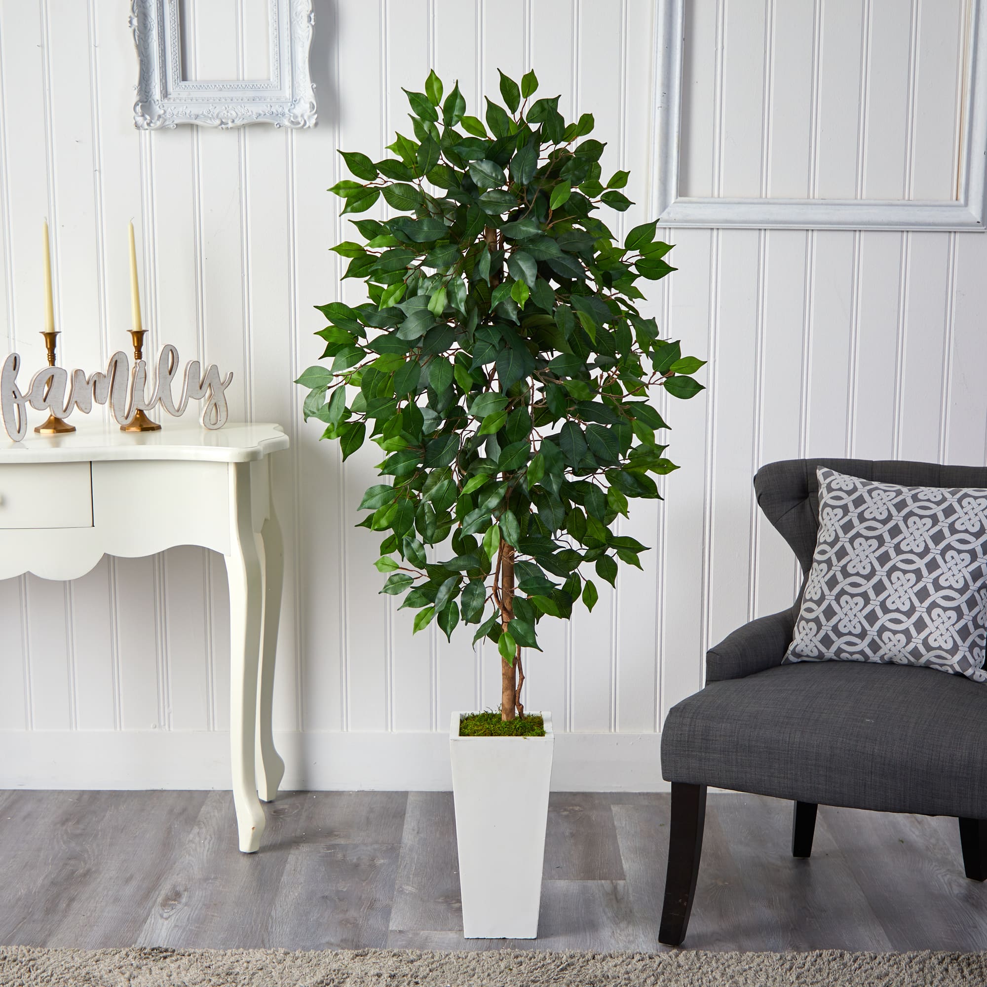 4.5ft. Ficus Tree in White Planter | Trees & Floor Plants | Michaels
