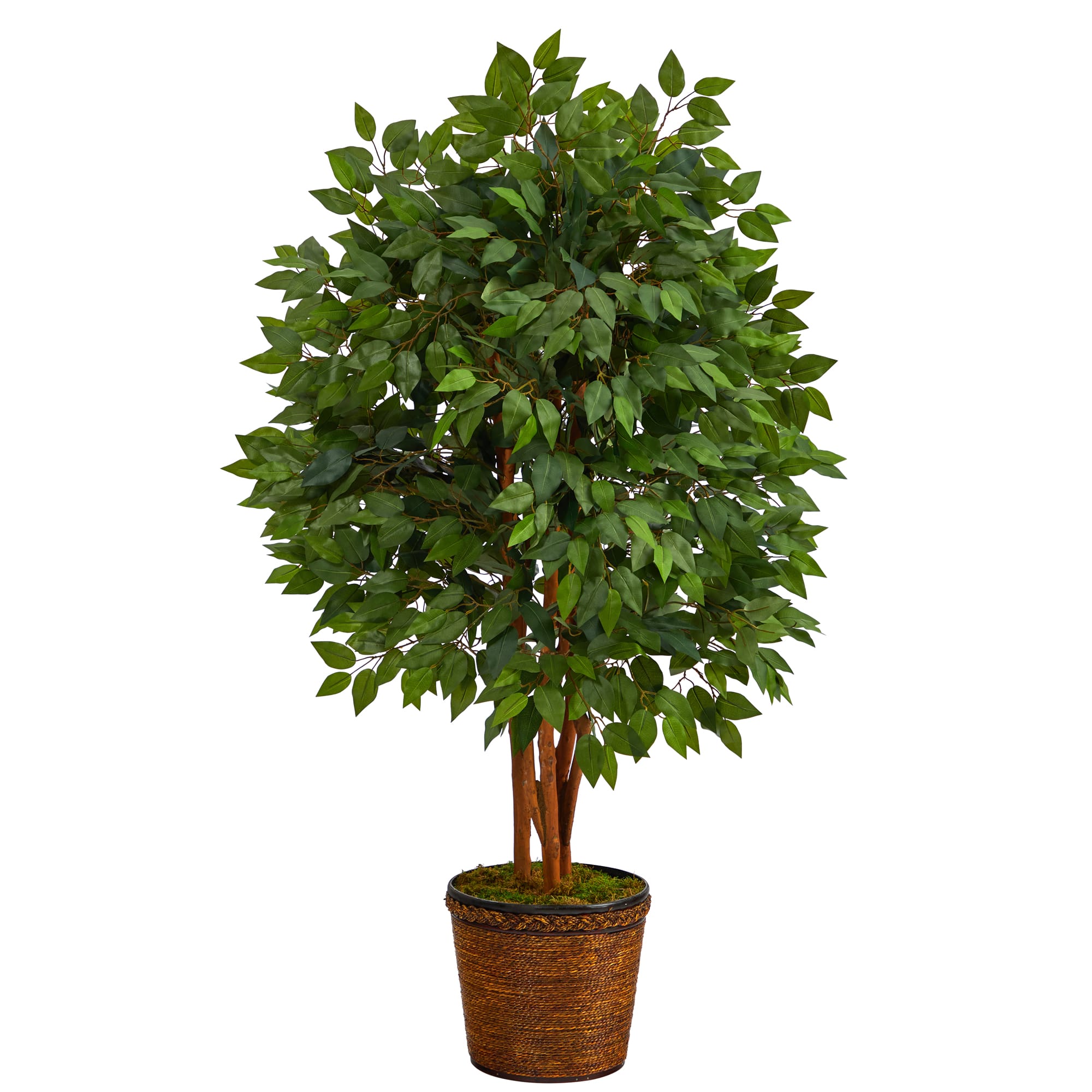 5ft. Super Deluxe Ficus Tree in Wicker Planter | Michaels