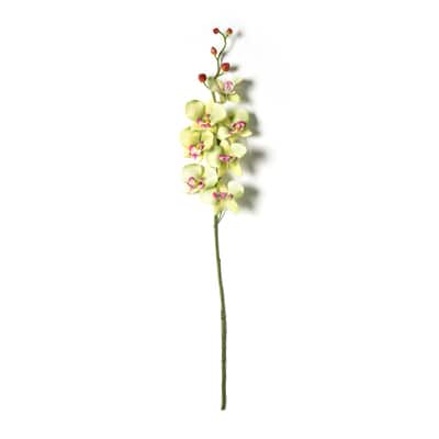 Orchid Spray by Ashland®, Size: 25", Color: Green and Pink | Michaels