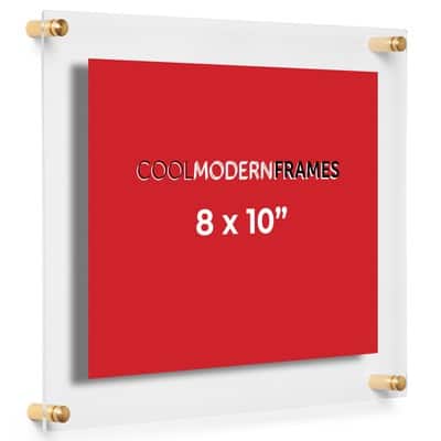 Cool Modern Frames Clear Acrylic Float Frame with Gold Hardware | Michaels