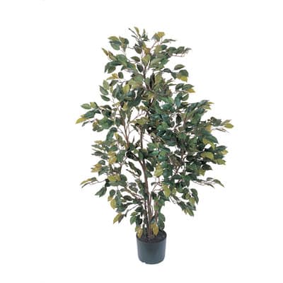 4ft. Potted Ficus Tree | Michaels