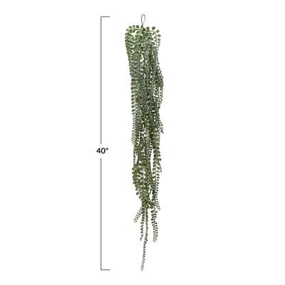 Hello Honey® Hello Honey Green String of Pearls Plant | Michaels
