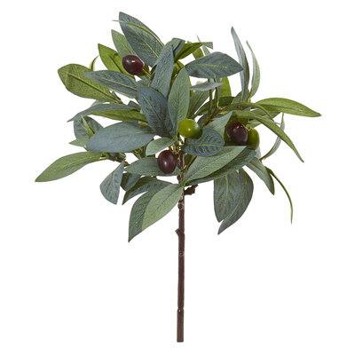 Olive Branch Pick, 12ct. | Michaels