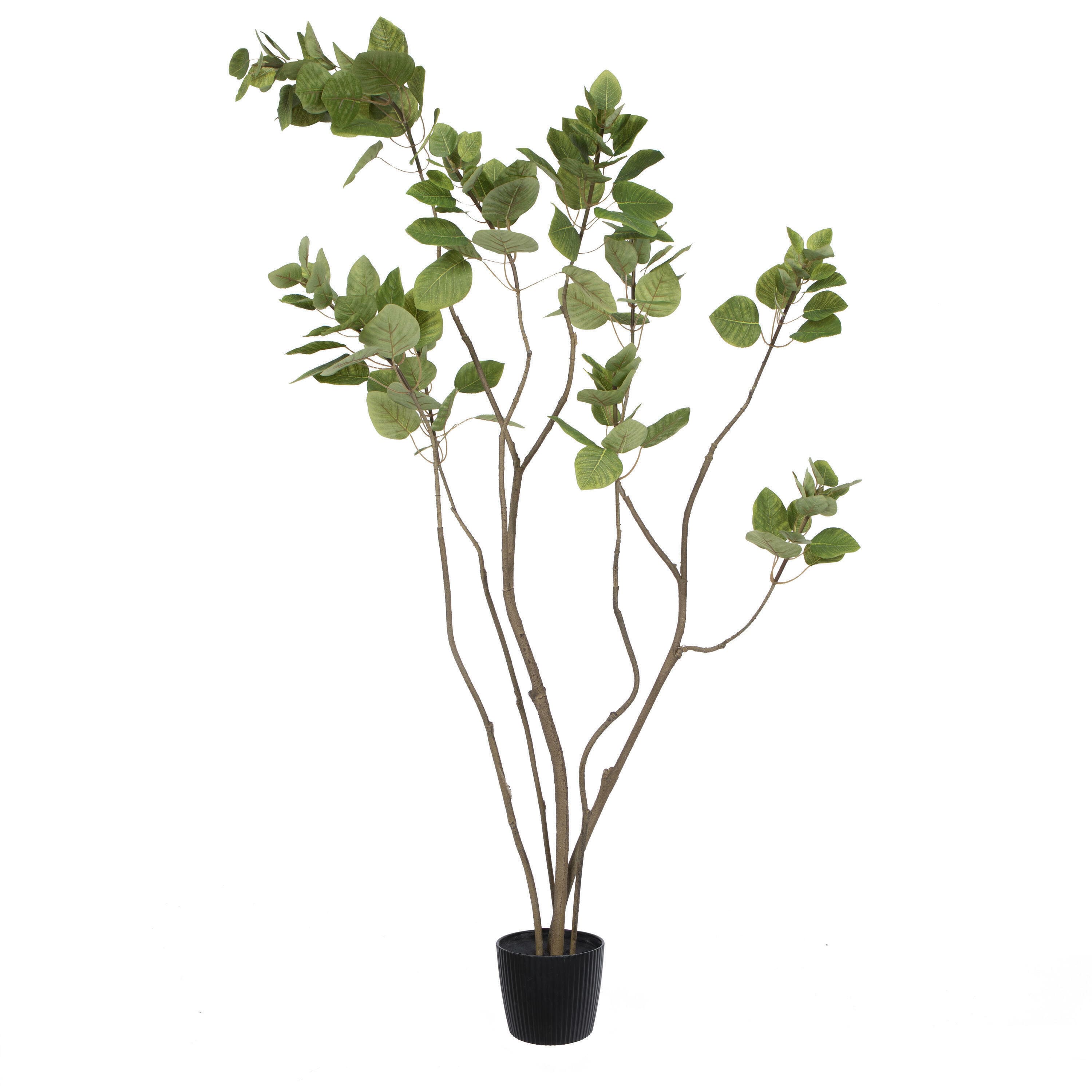 4ft. Potted Artificial Green Smoke Tree | Michaels