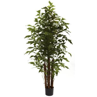 6ft. Potted Fishtail Palm Tree | Michaels