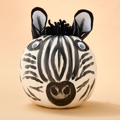 Zebra Pumpkin | Projects | Michaels
