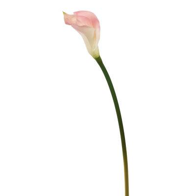 Pink Calla Lily Stem, 6ct. | Michaels