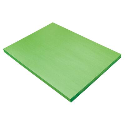 SunWorks® 18" x 24" Bright Green Construction Paper, 100 Sheets | Michaels