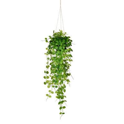 2.5ft. Green Mini Leaf Ivy in Hanging Pot | Michaels