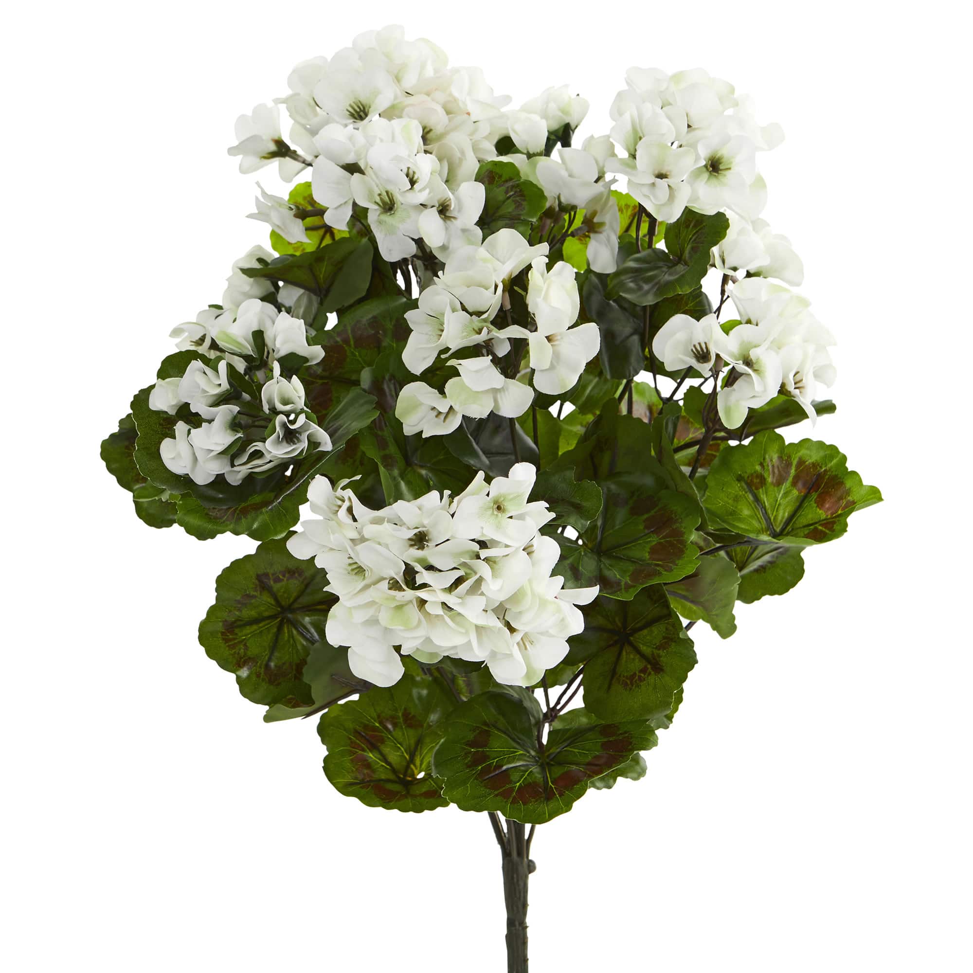 White Geranium Bush, 3ct. | Michaels
