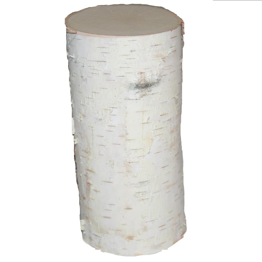 Wilson® Enterprises Birch Pillar Set, 4ct. | Michaels