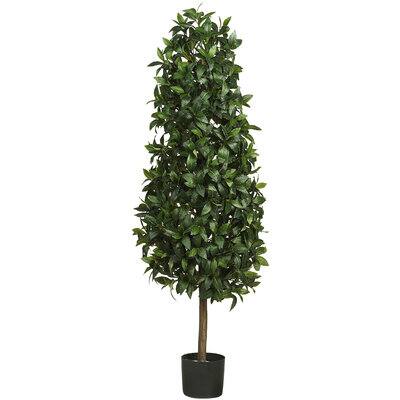 5ft. Potted Sweet Bay Pyramid Tree | Michaels