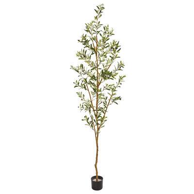 6.8ft. Potted Olive Tree | Michaels