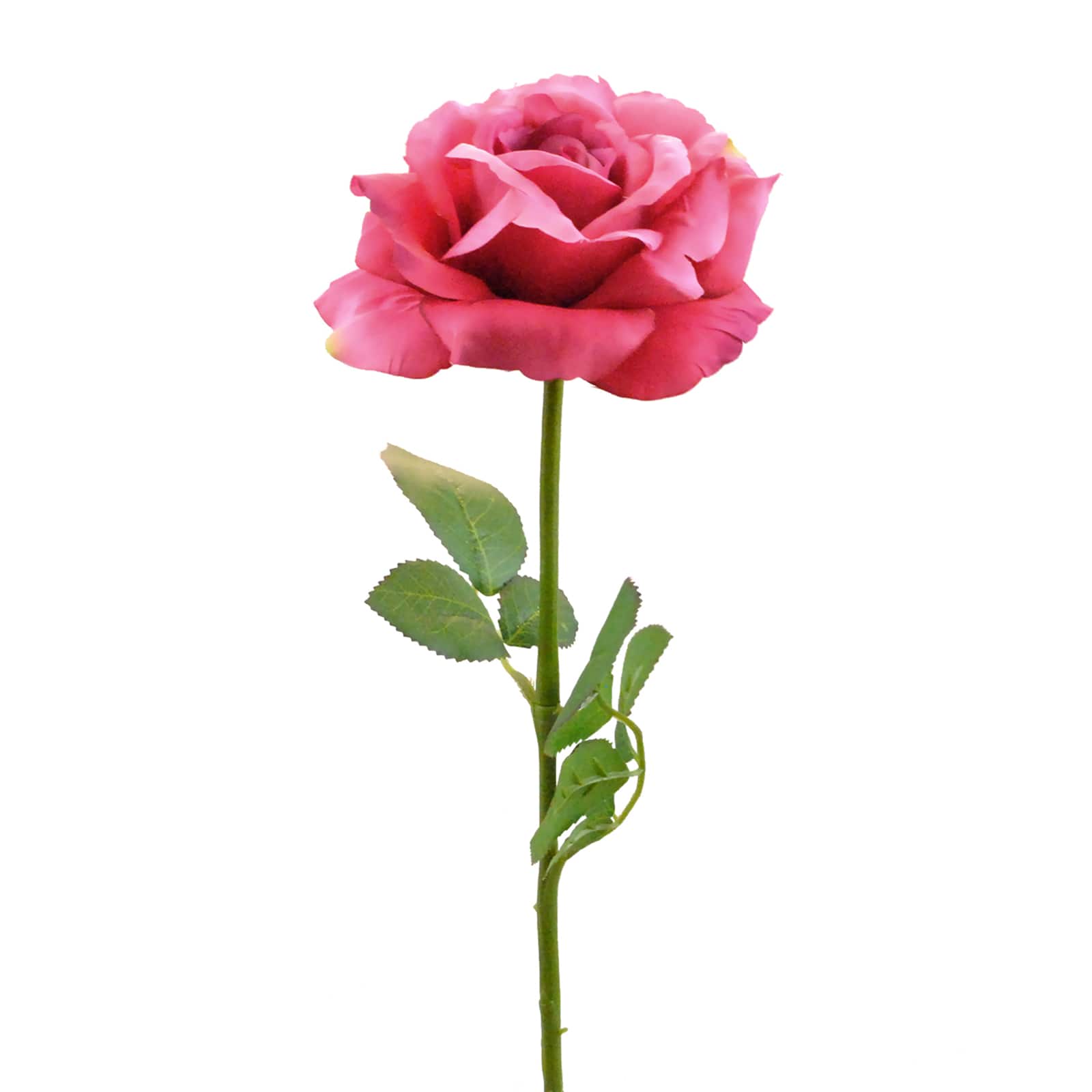 DII® Pink Flower Open Rose Set, 6ct. | Michaels