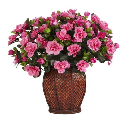 20" Azalea Plant with Vase | Michaels