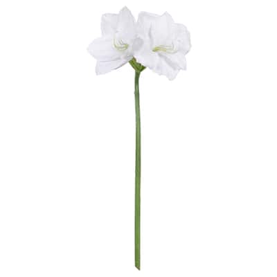 26" Snow White Amaryllis Stem by Ashland® | Michaels