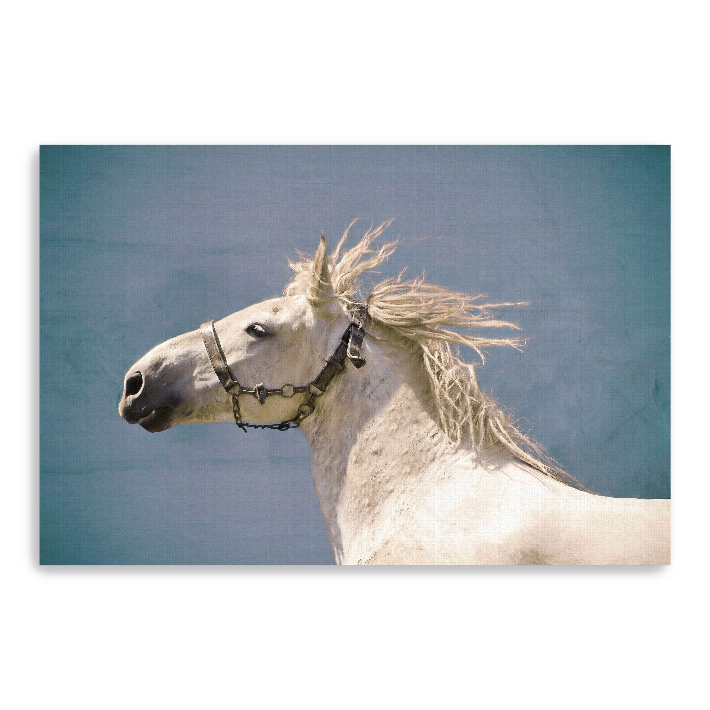 Scratch Canvas Giclee | Michaels