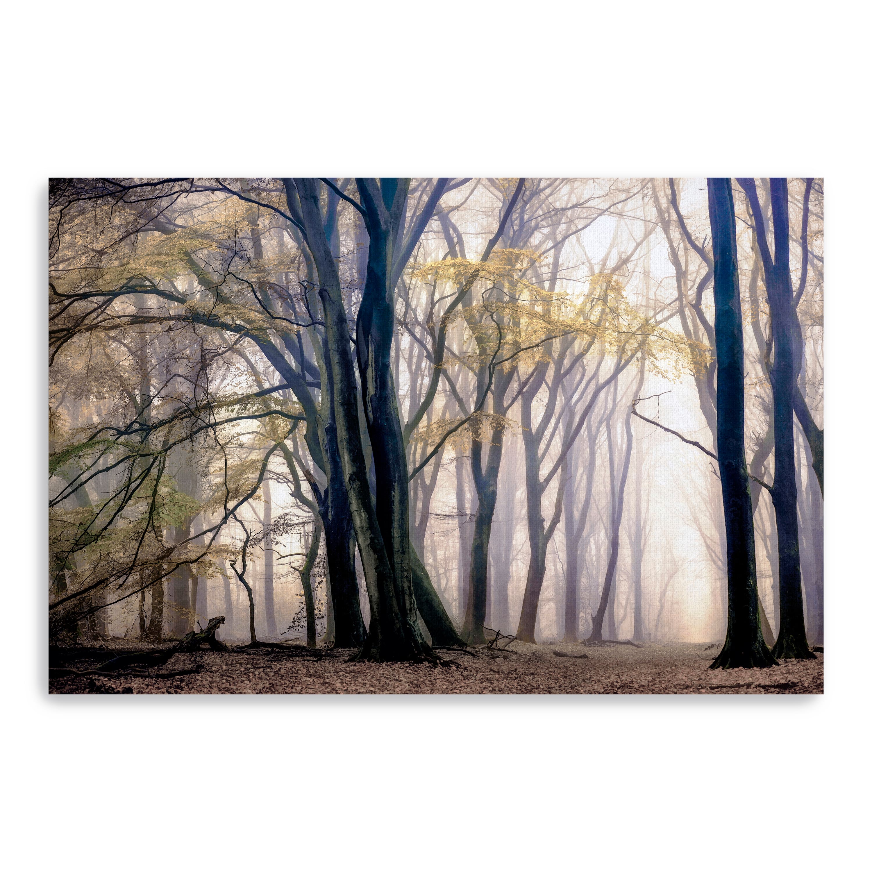 Fall Softly Canvas Giclee | Michaels