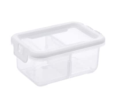 Ezy Storage 2-Compartment Storage Box | Michaels