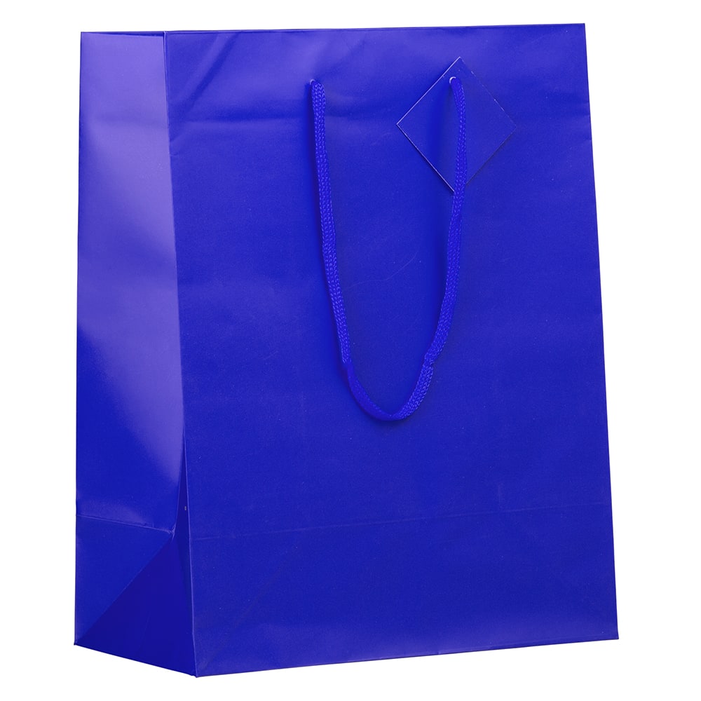 JAM Paper Large Matte Gift Bag, 3ct. | Michaels