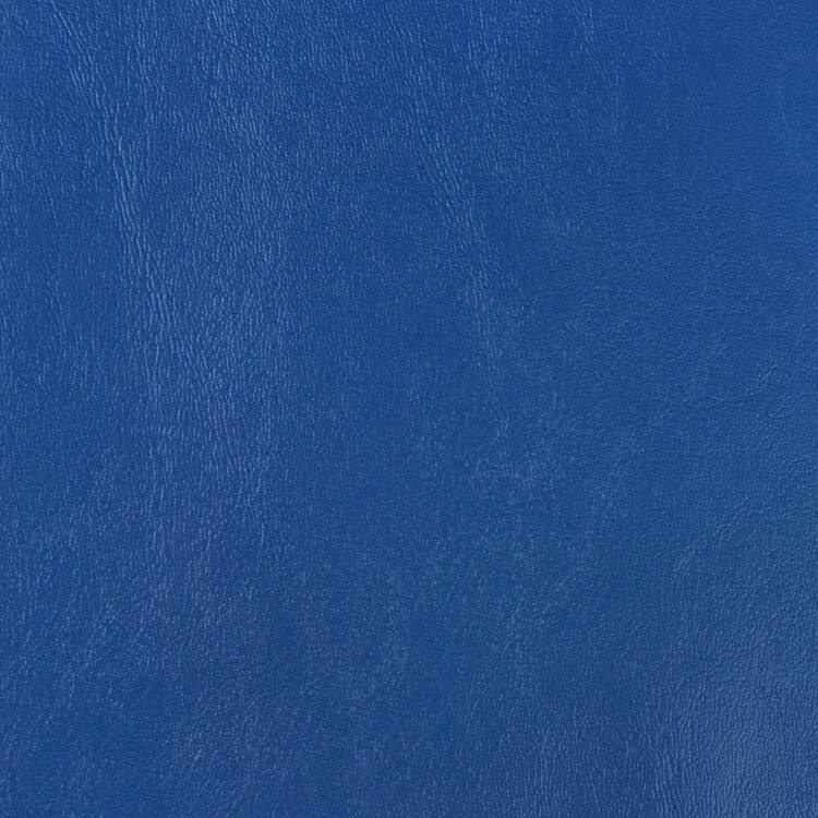 Seaquest Royal Blue Vinyl | Michaels