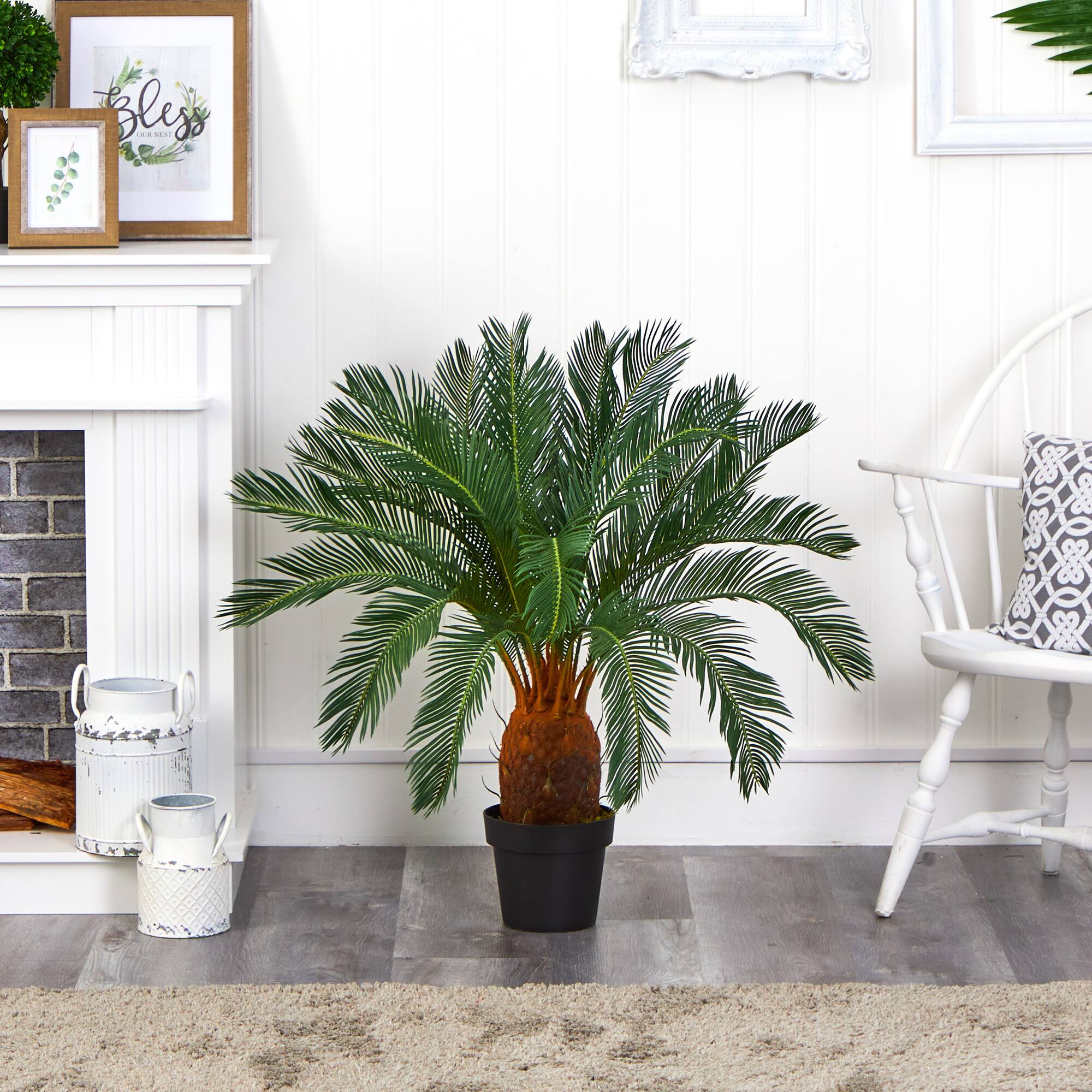 3ft. Potted Cycas Tree | Michaels