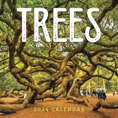 TF Publishing 2024 Trees Wall Calendar | Michaels